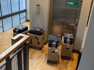 Milo and COVID-19 - Fourth Wall